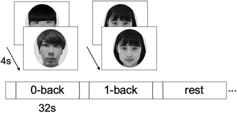 Human Brain Mapping Neuroimaging Journal Wiley Online Library