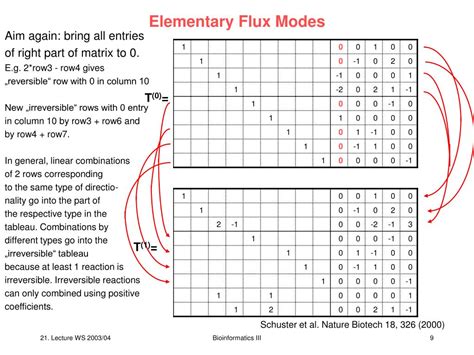 Ppt Metabolic Pathway Analysis Elementary Modes Powerpoint Presentation Id6766077