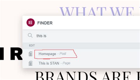 ⛔ 🐞 Bug Report Finder Showing Homepage As Post Should Be Page · Issue