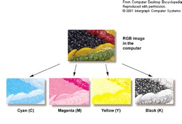 Spot Color PMS Vs CMYK 4C Process Which Is Best Rose City Label