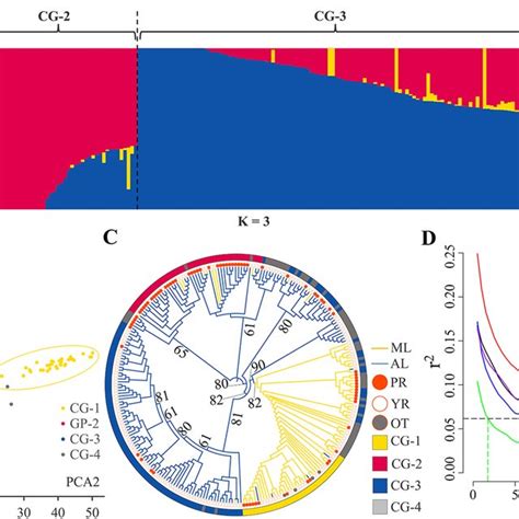 Population Structure And Ld Of 253 Accessions A Inferred Population