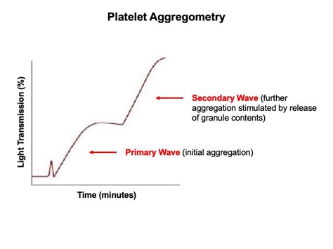 Primary Wave