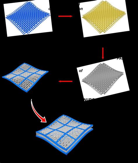 Figure S1 Schematic Illustration To The Experimental Procedures And Download Scientific