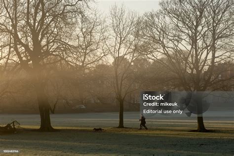 사람들이 이른 아침 겨울 안개에 흩어진 도시 센터 공원 Harrogate 노스 요크 셔 영국 해러게이트에 대한 스톡 사진 및 기타 이미지 Istock