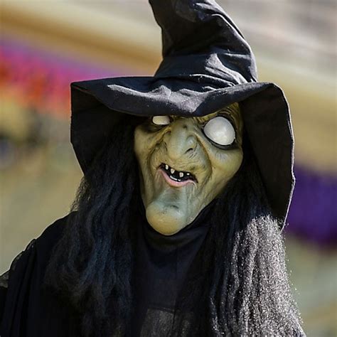 Ugly Witch Costume