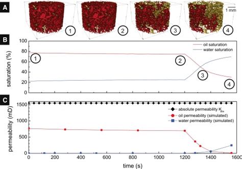 A Visualization Of The Non Wetting Phase Oil Distribution From μct