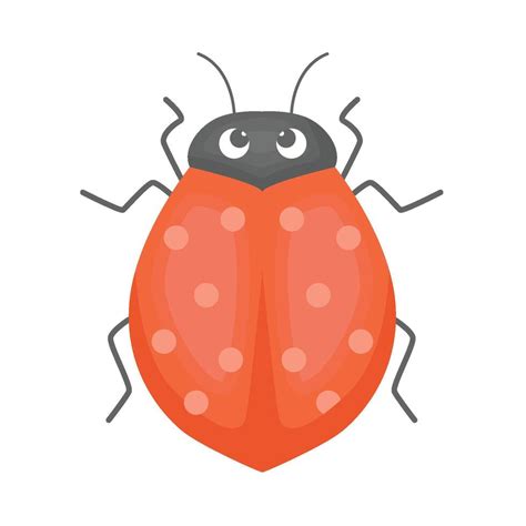 Illustration Of Bug 41003530 Vector Art At Vecteezy