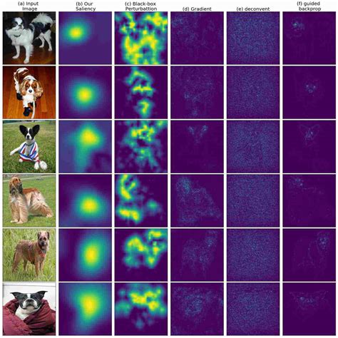 Black Box Saliency Map Generation Using Bayesian Optimisation Deepai