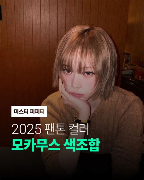 미스터 피피티 Mr Ppt 파워포인트 템플릿 올해 팬톤 컬러 모카 무스 색조합 Instagram