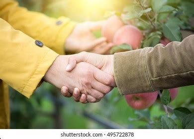 Shaking Hands Tree Stock Photos Images Photography Shutterstock
