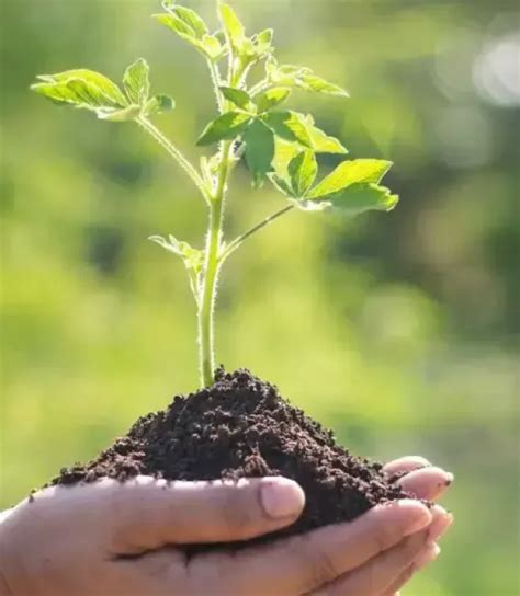 What Is Predictive And Prescriptive Analytics In Energy Management Entouch