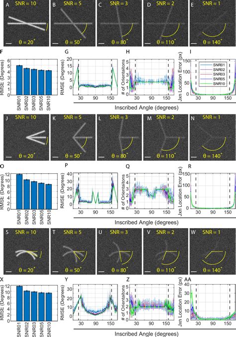 Figure 3 From Adaptive Multiorientation Resolution Analysis Of Complex Filamentous Network