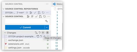 Controlling Source Files Mulesoft Documentation