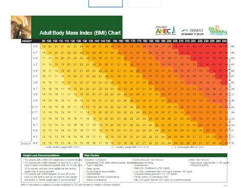 Printable BMI Chart Free Word Templates
