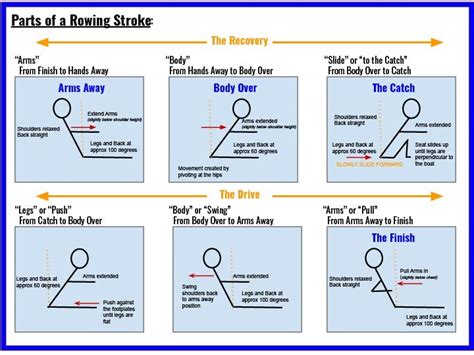 Wilmington Youth Rowing Association Parts Of The Rowing Stroke