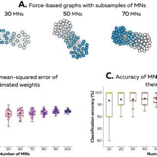 Impact Of The Number Of Identified Motor Neurons On The Description Of Download Scientific