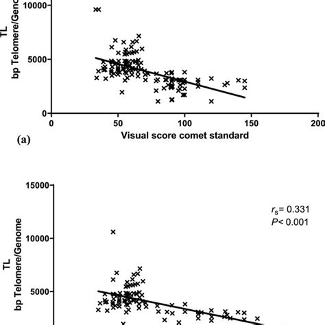 Spearman Correlation Analysis Between Telomere Length And Visual Score