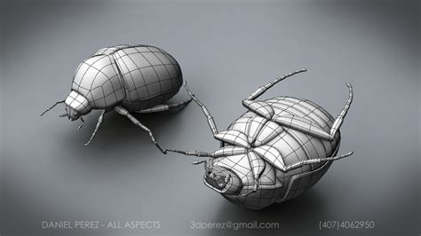 Model Of A Bug Test Render