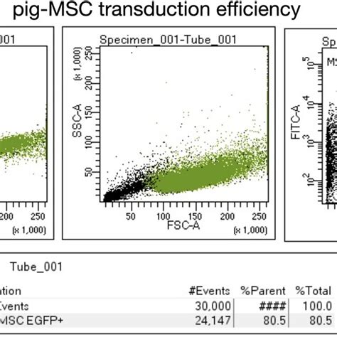 Intraosseous Injection Of The Femoral Head A Under Radiographic Download Scientific Diagram