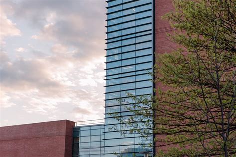 Bachelor Of Arts In Biology Education Undergraduate Programs Umbc