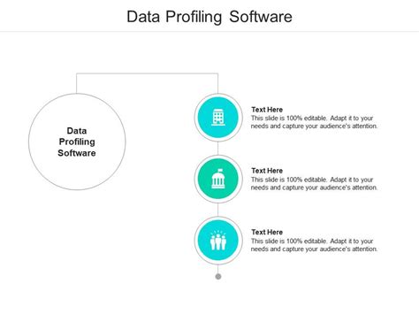 Data Profiling Software Ppt Powerpoint Presentation Slides Display Cpb Presentation Graphics