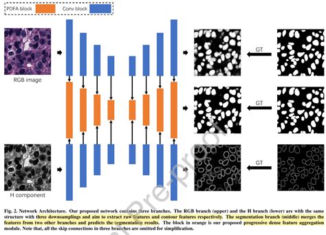 Mia 2020 Triple U Net Hematoxylin Aware Nuclei Segmentation With