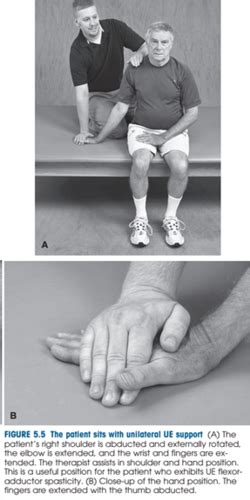 Equilibrium Coordination Tests Lab Flashcards Quizlet