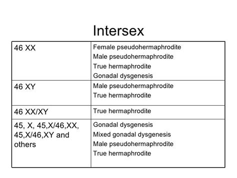 Muse TECHNOLOGIES Home