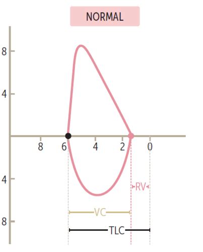 Pulmonary Function Testing Flashcards Quizlet
