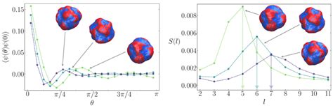 Numerical Correlation Functions Left And Corresponding Structure Download Scientific Diagram