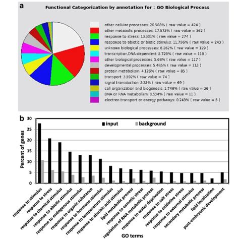 Functional Categorization Of Differentially Expressed Genes By Download Scientific Diagram