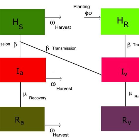 Stochasticity And Life Cycle Parameters Sir Model For Two Cultivars