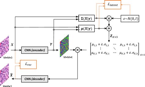 Figure 5 From Histopathology Stain Color Normalization Using Deep