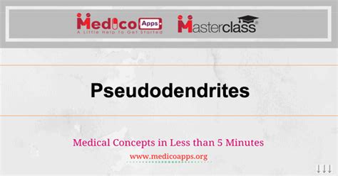 Pseudodendrites New