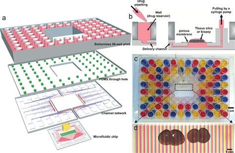 Microfluidic Device Design A Layer By Layer Schematic View Of The
