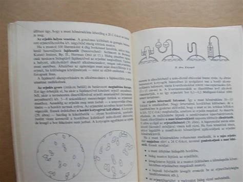 Drmercz ÁrpÁd A Must És A Bor KezelÉse Gy Budapest Xi Kerület