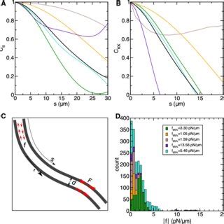 A Tangenttangent Correlation C Tt And B Curvature Correlation C KK Download Scientific