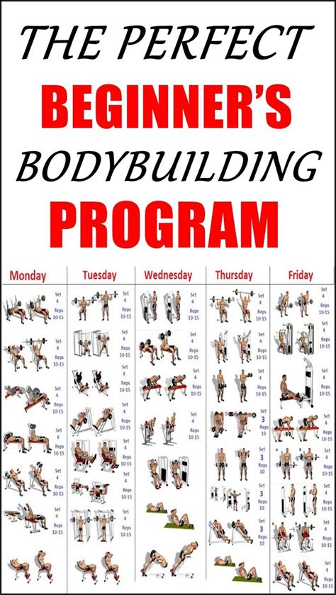 The Perfect Beginners Bodybuilding Program Bodybuilding Program Beginner Workout For Men