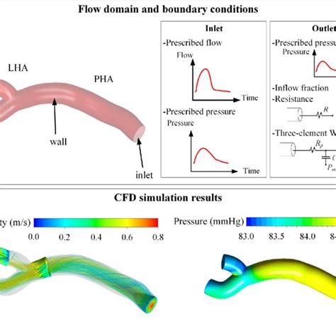 computational fluid dynamics cfd simulations a flow domain and