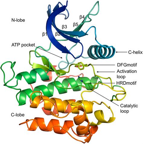 Defining A New Nomenclature For The Structures Of Active And Inactive