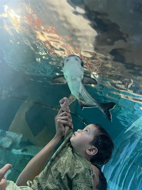 Vaibhav Saxena On Linkedin Business Amusement Growth