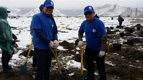 Агаарын чанарын албаны хамт олон мод тарьцгаалаа Нийслэлийн агаар орчны бохирдолтой тэмцэх газар