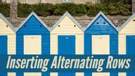 Inserting Alternating Rows Excel Tips MrExcel Publishing