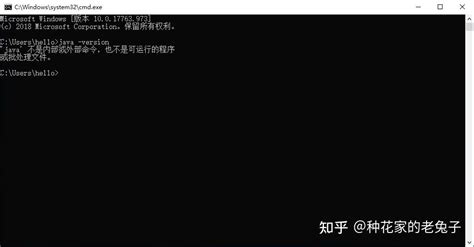 Apache Tomcat 知乎