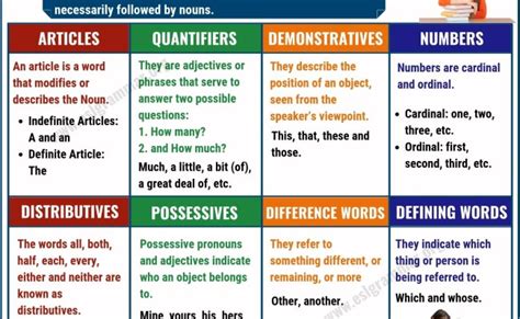 Determiners Definition Types Of Determiners With Example