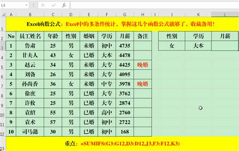 Excel多条件求和公式怎么用（用法及实例解读） 天天办公网