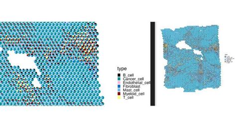 Cell Deconvolution In A Spatial Transcriptomics Context 🤩💯🧠 Very Happy