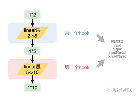 如何优雅的提取feature Map和gradient Map2个简单例子理解pytorch中的hook的使用 轻识
