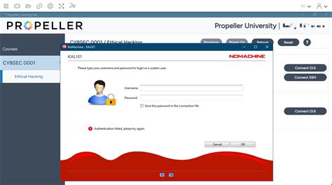 Using Your Learning Lab Propeller