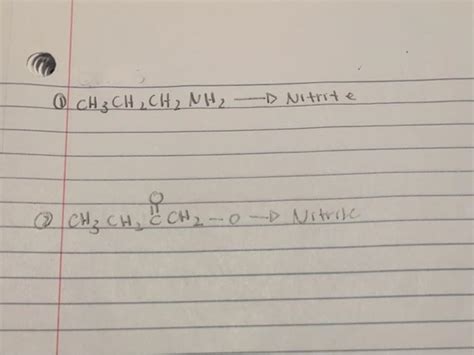 Solved CH ₃ CH₂ CH₃NH₂ D Nitrite CH ₂ CH CH₂ CH₂ CH Chegg com